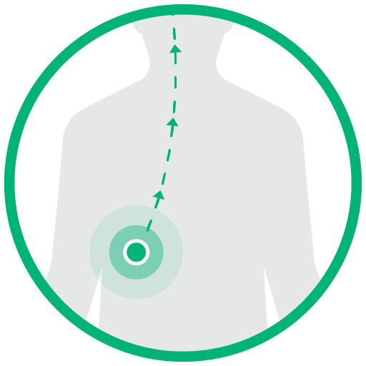Pain Management - myEQUIPODUSA